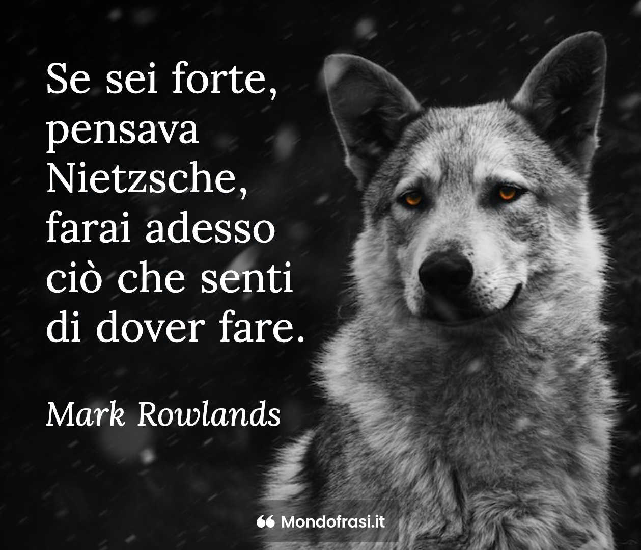 Frasi il lupo e il filosofo: le migliori 20 del libro di Mark Rowlands.
