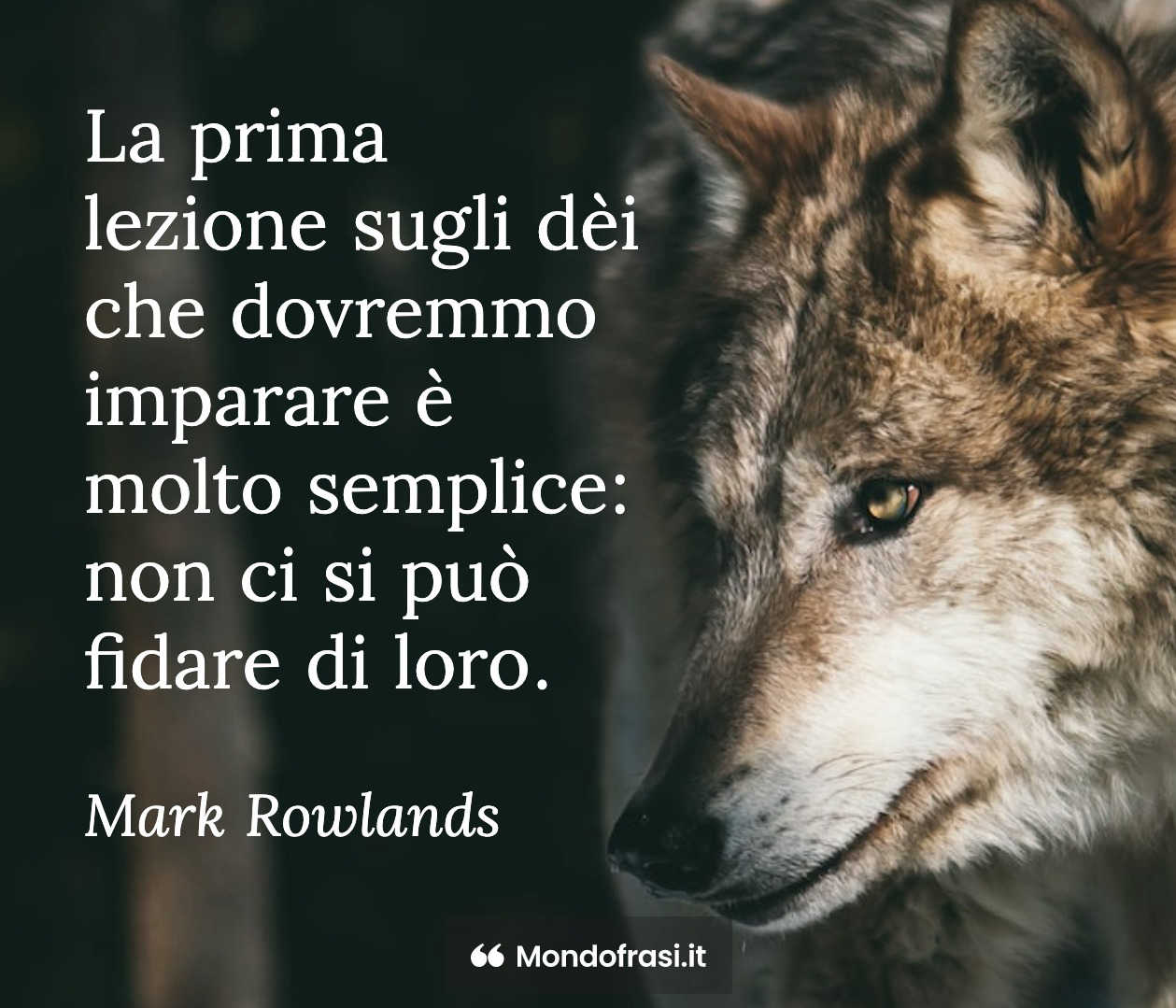 Frasi il lupo e il filosofo: le migliori 20 del libro di Mark Rowlands.